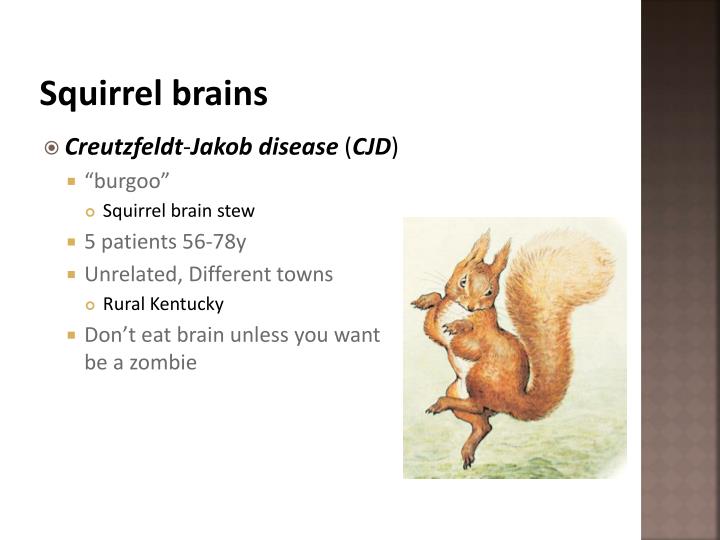 PPT - Squirrel Zoonoses PowerPoint Presentation - ID:4186297