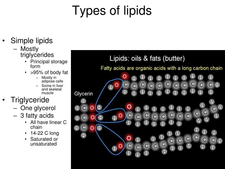PPT - Lipid metabolism PowerPoint Presentation - ID:4187488