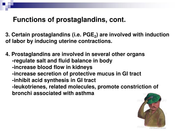 PPT - Prostaglandins: Synthesis, functions and inhibitors PowerPoint ...