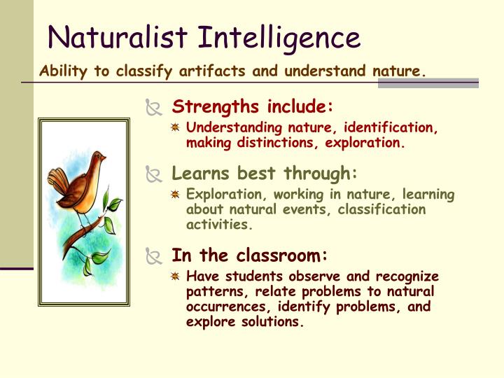 PPT - The multiple intelligences: PowerPoint Presentation - ID:4188666