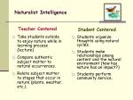 PPT - The multiple intelligences: PowerPoint Presentation - ID:4188666