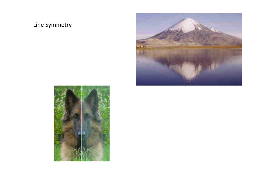 PPT - Symmetry PowerPoint Presentation, free download - ID:4189494