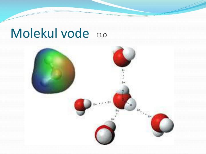 PPT - Zagadjenje vode !!!! PowerPoint Presentation - ID:4189557