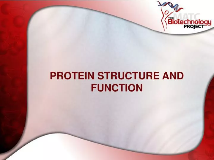 PPT - PROTEIN STRUCTURE AND FUNCTION PowerPoint Presentation, free ...
