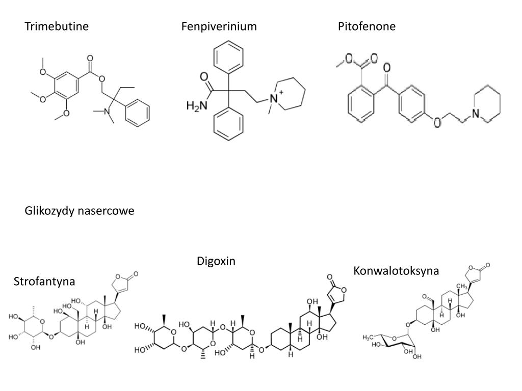 PPT - Najważniejsze neuroprzekażniki w OUN i obwodowym UN ...