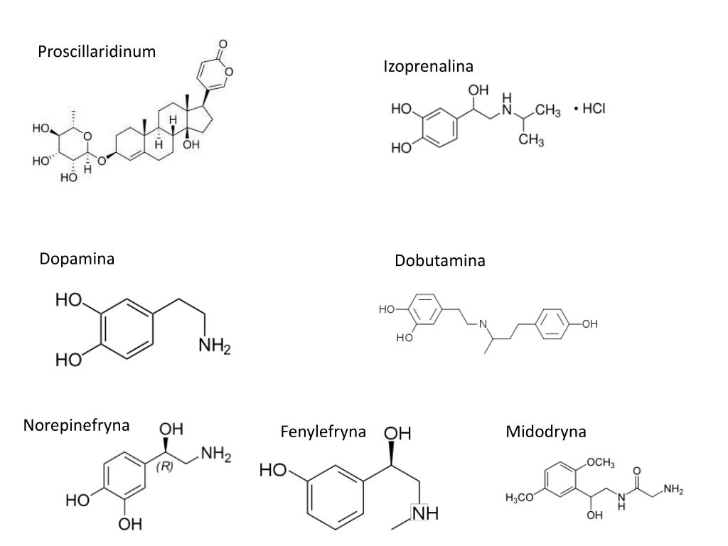 PPT - Najważniejsze neuroprzekażniki w OUN i obwodowym UN ...