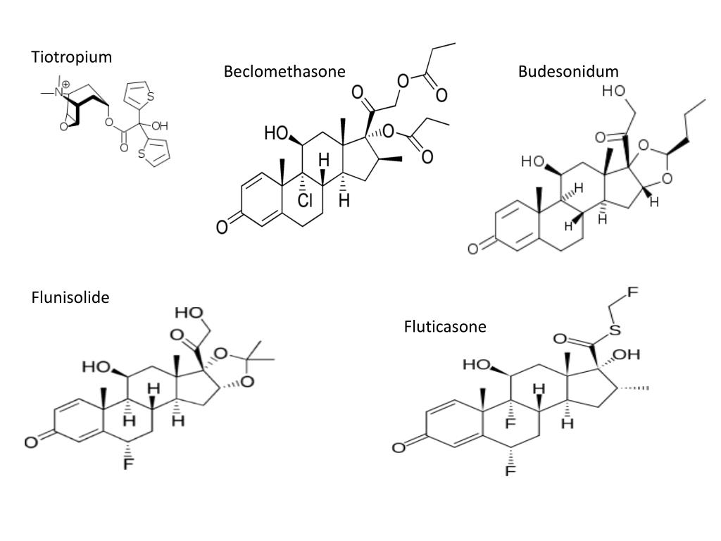 PPT - Najważniejsze neuroprzekażniki w OUN i obwodowym UN ...