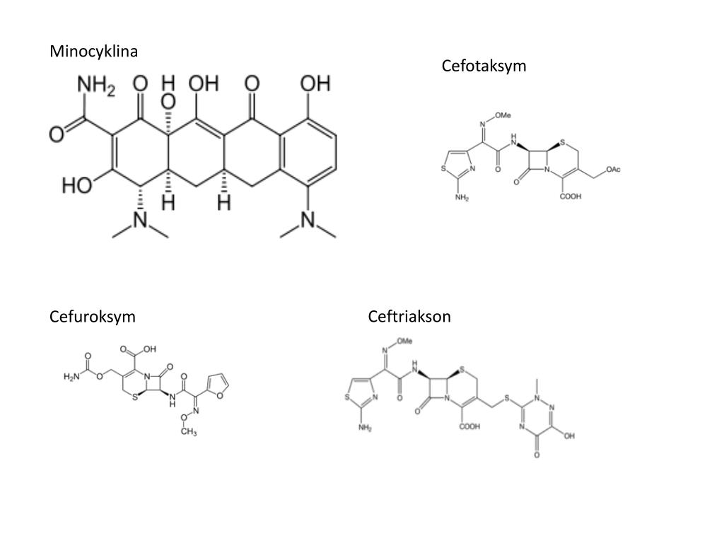 PPT - Najważniejsze neuroprzekażniki w OUN i obwodowym UN ...