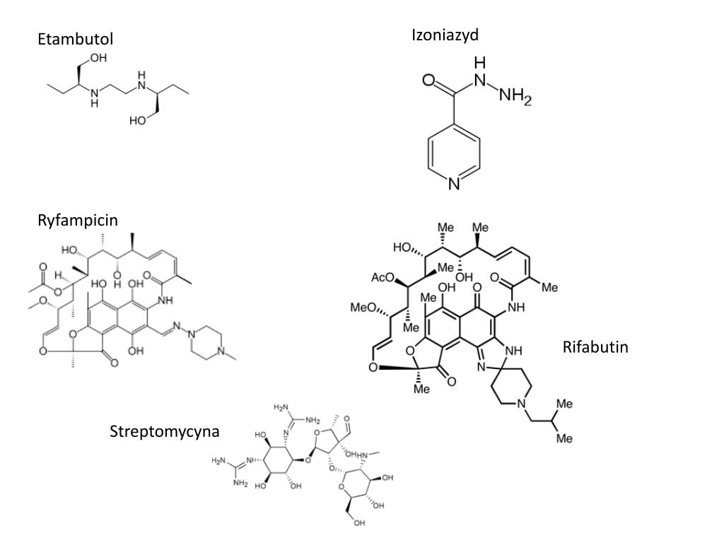 PPT - Najważniejsze neuroprzekażniki w OUN i obwodowym UN ...
