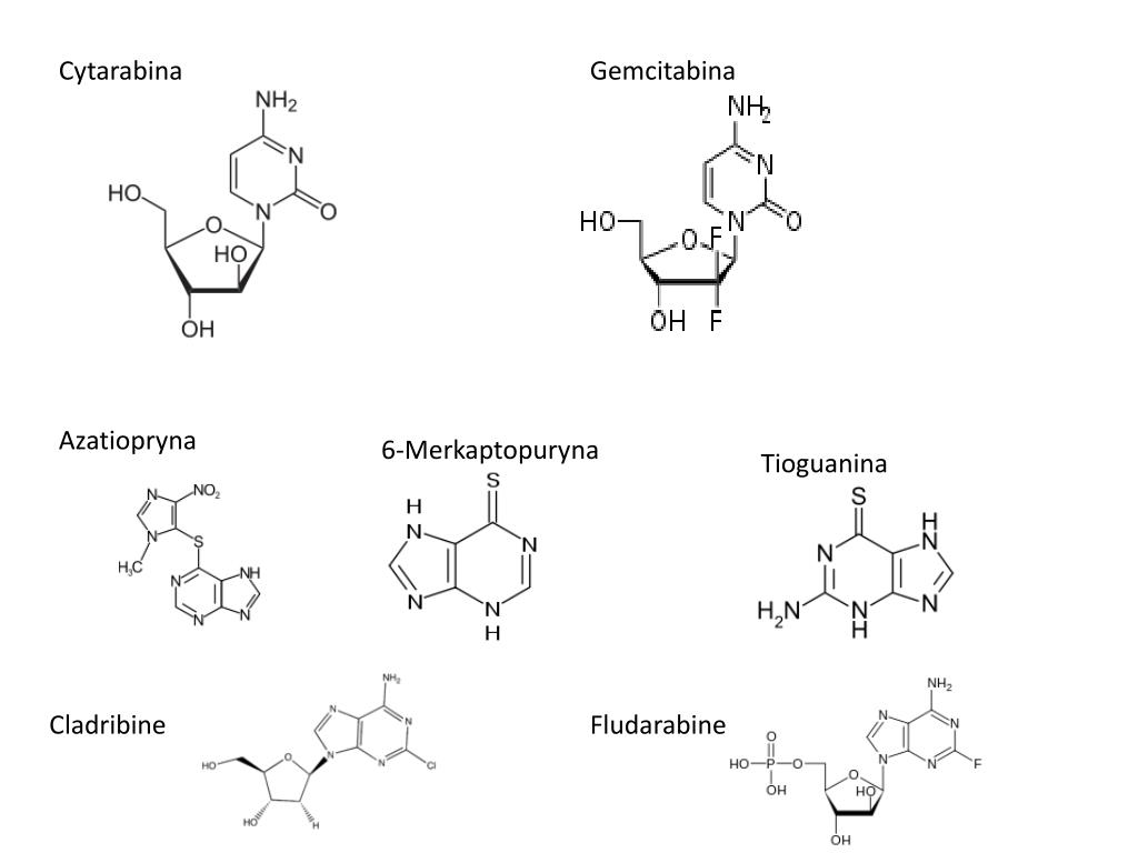 PPT - Najważniejsze neuroprzekażniki w OUN i obwodowym UN ...