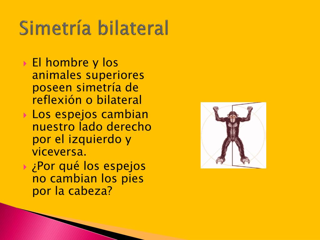 PPT - Simetrías PowerPoint Presentation, free download - ID:4193725