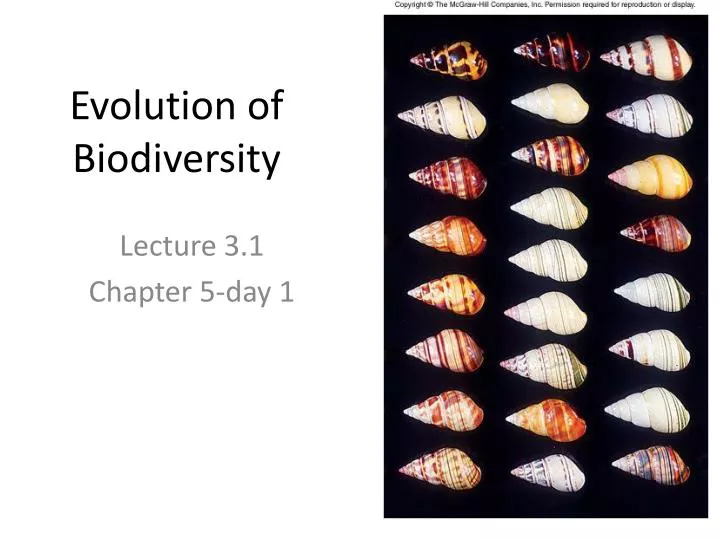 PPT - Evolution of Biodiversity PowerPoint Presentation, free download ...