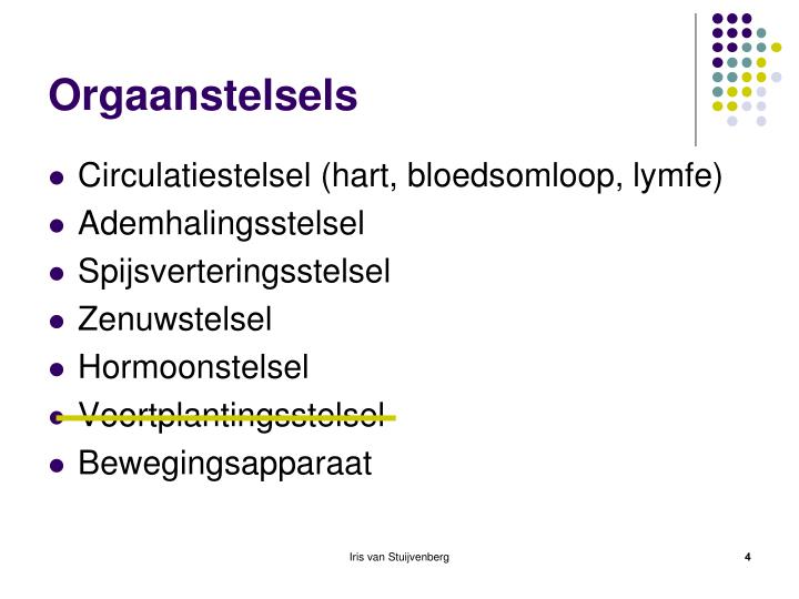 PPT - Anatomie en Fysiologie PowerPoint Presentation - ID:4194849