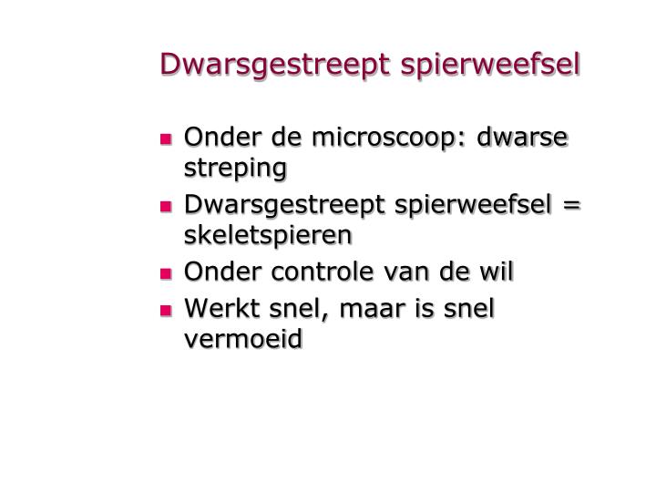 PPT - anatomie PowerPoint Presentation - ID:4195621