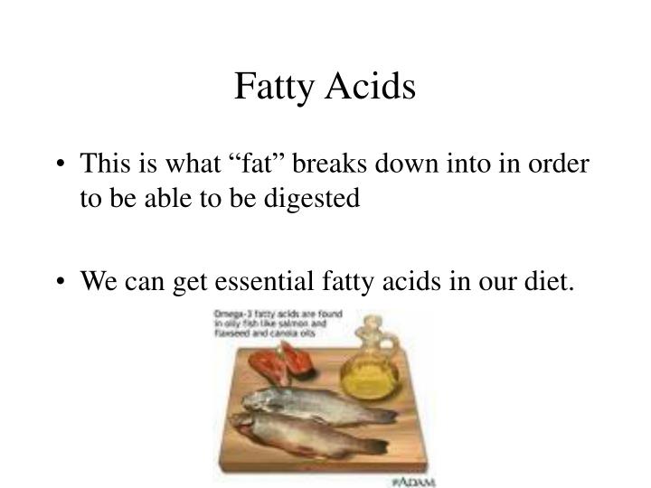 PPT - Nutrition Chapter 5 - FATS PowerPoint Presentation - ID:4196135