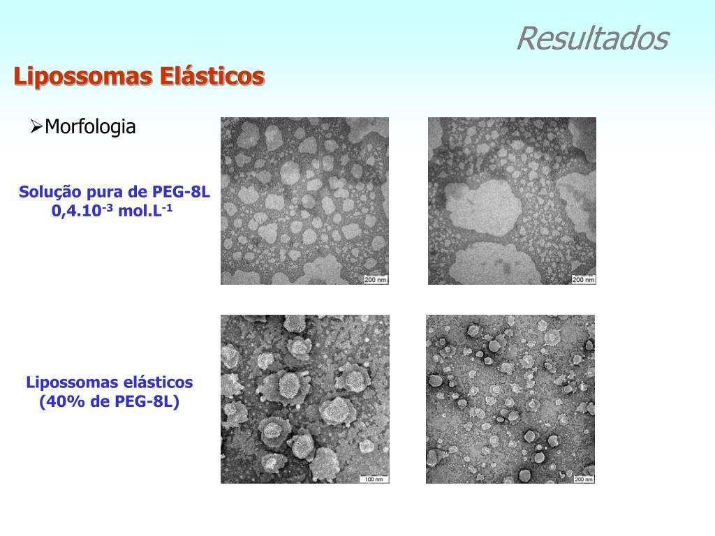 PPT - Lipossomas Elásticos – Transporte Transdérmico PowerPoint ...