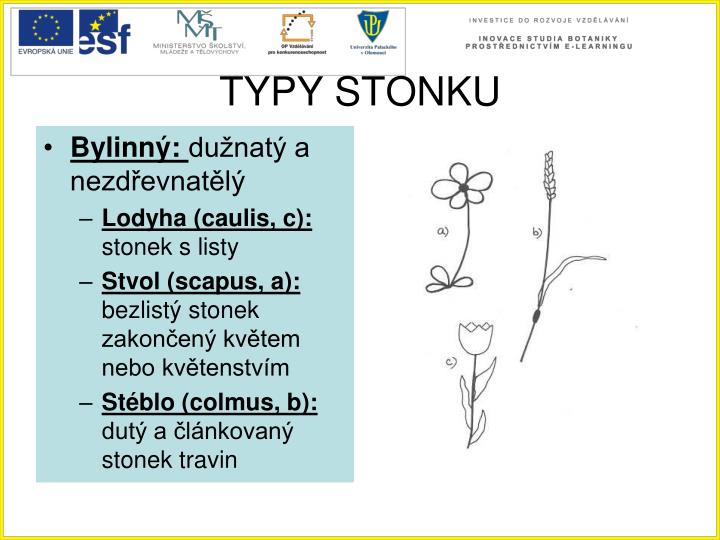 PPT - Modul: Stonek (CAULIS) Funkce stonku Vývin stonku Typy stonku ...