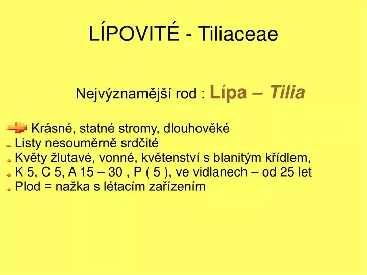 PPT - LÍPOVITÉ - Tiliaceae PowerPoint Presentation, free download - ID ...
