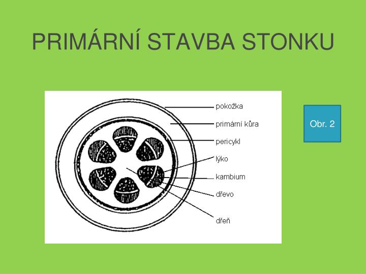 PPT - GYMNÁZIUM, VLAŠIM, TYLOVA PowerPoint Presentation - ID:4196611