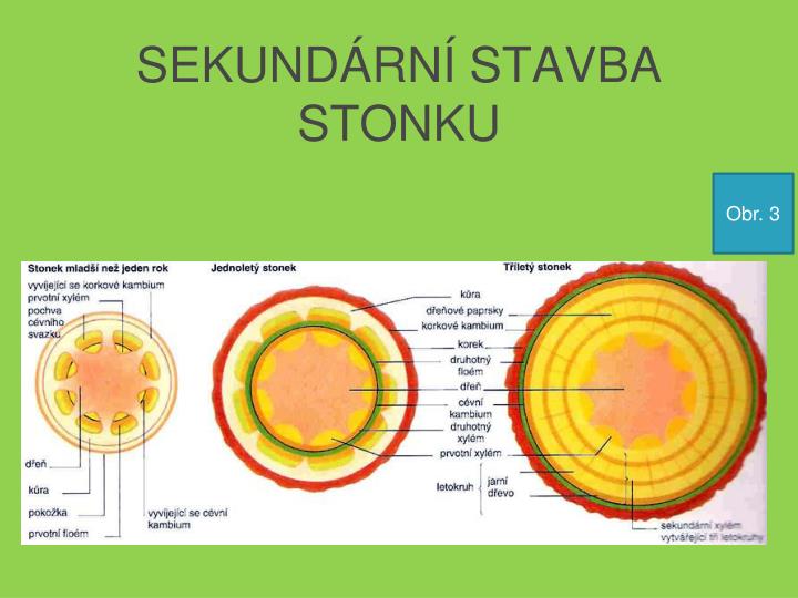 PPT - GYMNÁZIUM, VLAŠIM, TYLOVA PowerPoint Presentation - ID:4196611