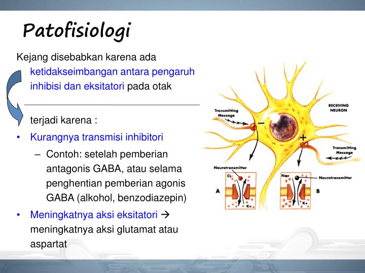 PPT - Epilepsi PowerPoint Presentation - ID:4197306