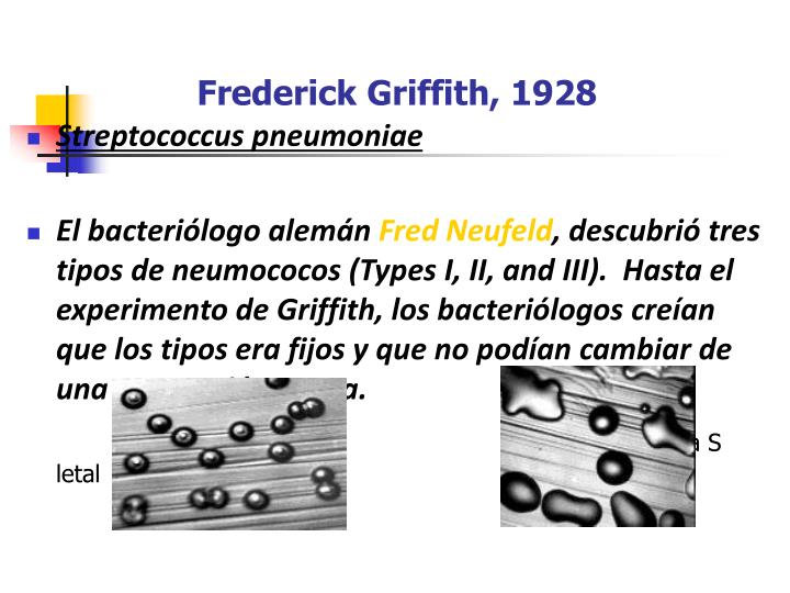 PPT - Diapositivas presentación Jueves 15 Abril PowerPoint Presentation ...