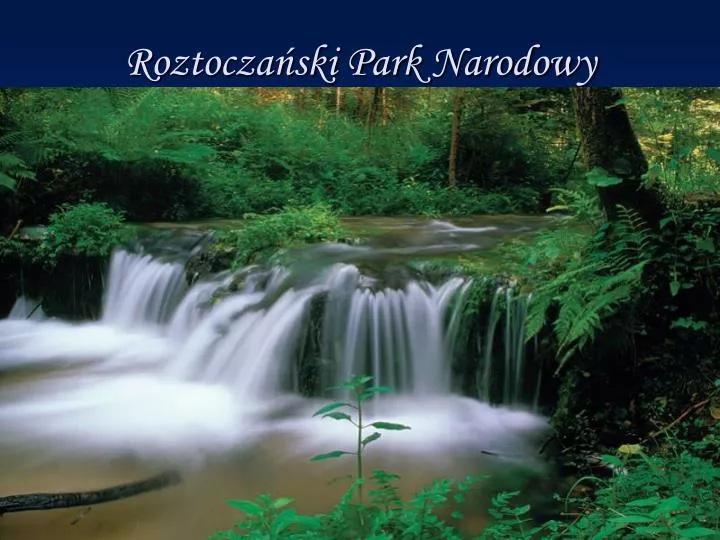 PPT - Roztoczański Park Narodowy PowerPoint Presentation, free download ...