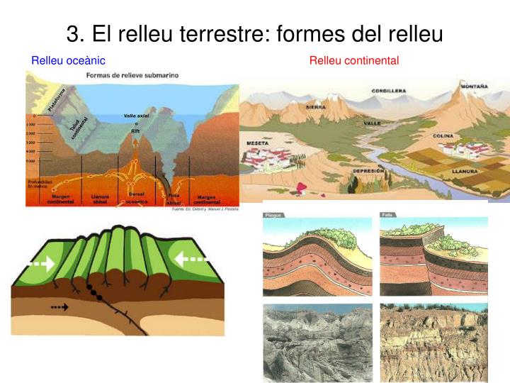 PPT - EL PLANETA TERRA PowerPoint Presentation - ID:4199989