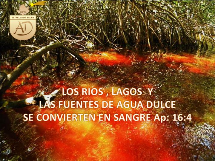 PPT - APOCALIPSIS 16 LAS SIETE COPAS DE LA IRA DE DIOS PowerPoint ...
