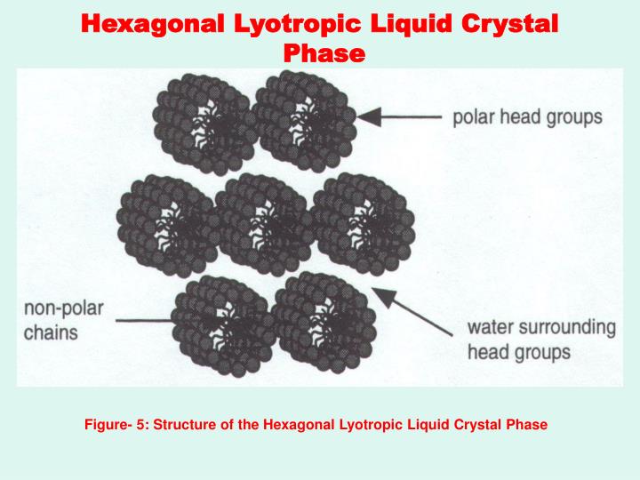 PPT - Lyotropic liquid crystals- Anisotropic Solutions PowerPoint ...