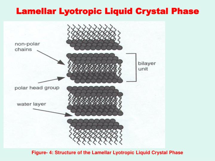 PPT - Lyotropic liquid crystals- Anisotropic Solutions PowerPoint ...