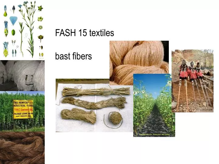 PPT - FASH 15 textiles bast fibers PowerPoint Presentation, free ...