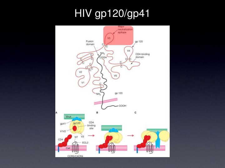 PPT - Acquired Immunodeficiency Syndrome PowerPoint Presentation - ID ...