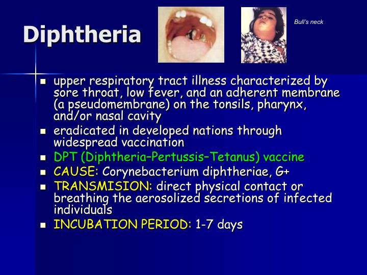 PPT - Manifestation of bacterial and viral diseases in oral cavity ...