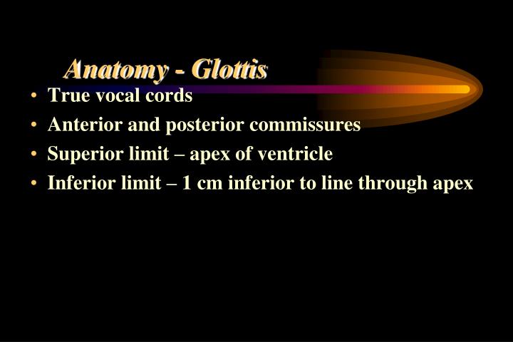 PPT - Head & Neck Tumours Part II PowerPoint Presentation - ID:4205666