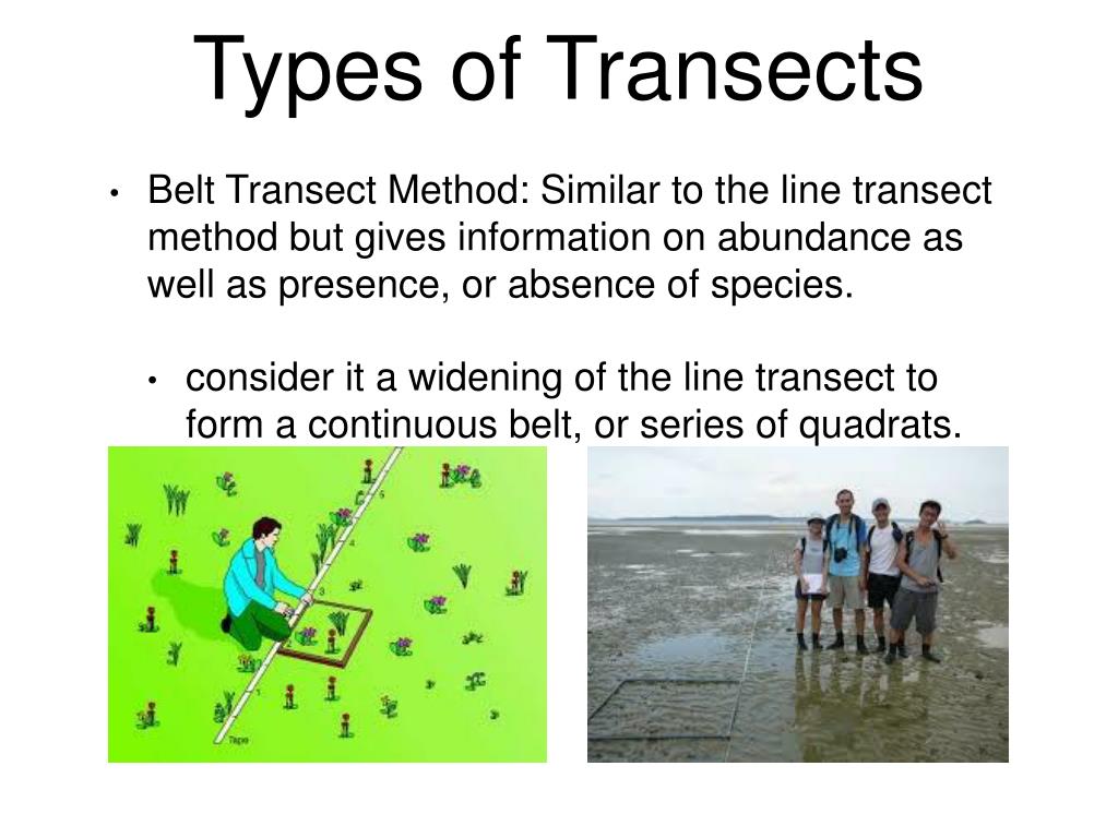 Sampling Methods Ppt Sampling Methods Ppt