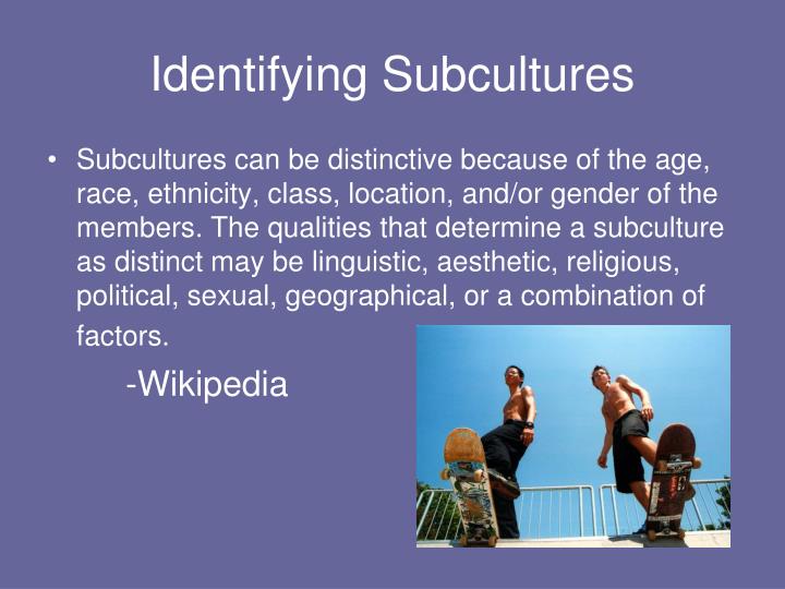 PPT - Subcultures PowerPoint Presentation - ID:4207055
