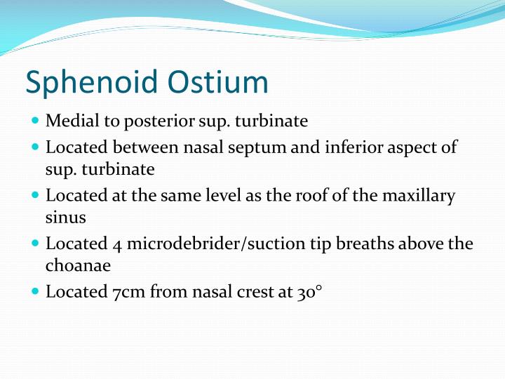 PPT - Principles of Functional Endoscopic Sinus Surgery PowerPoint ...