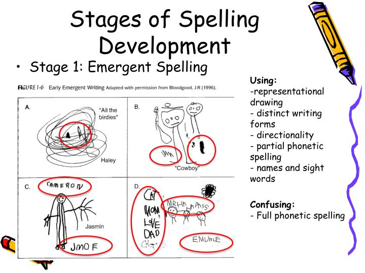 PPT - Stages of Spelling Development PowerPoint Presentation - ID:4208453
