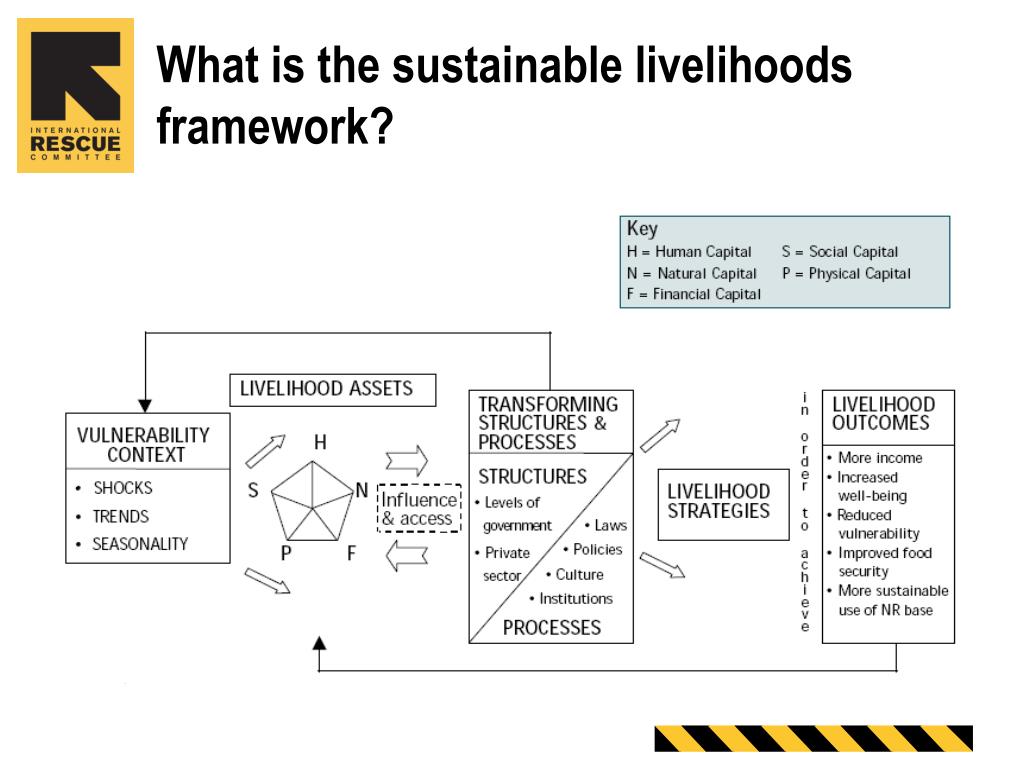 PPT - A Sustainable Livelihoods Approach and Economic Strengthening for ...