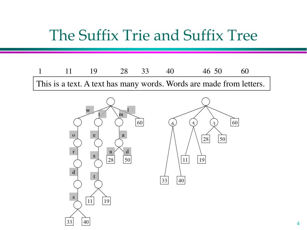 PPT - Suffix Trees and Suffix Arrays PowerPoint Presentation, free ... PPT - Suffix Trees and Suffix Arrays PowerPoint Presentation, free ...