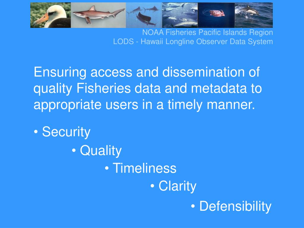 PPT - Designing and Managing Quality Fisheries Information PowerPoint ...