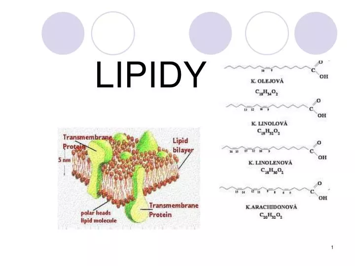 PPT - LIPIDY PowerPoint Presentation, free download - ID:4209464