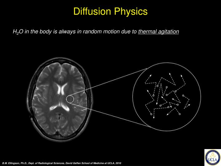 PPT - Diffusion Physics PowerPoint Presentation - ID:4213074