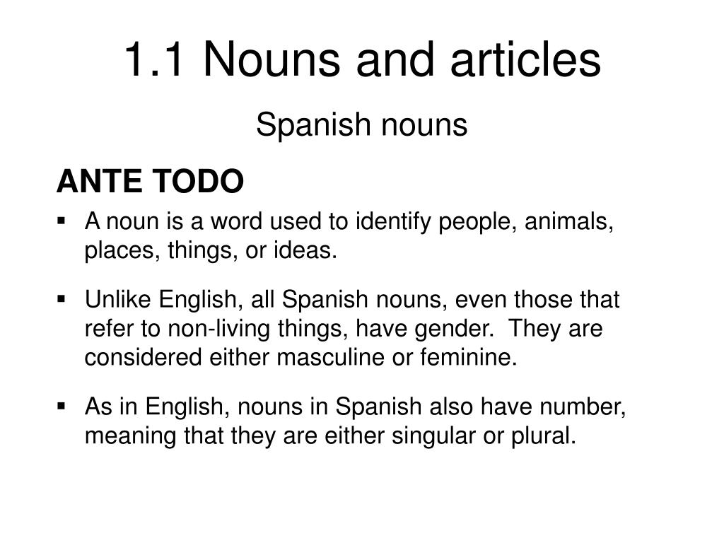 PPT - ANTE TODO A noun is a word used to identify people, animals ...