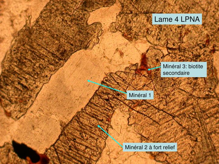 PPT - Lame mince 1 LPNA PowerPoint Presentation - ID:4215397