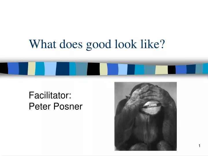 PPT - What does good look like? PowerPoint Presentation, free download ...