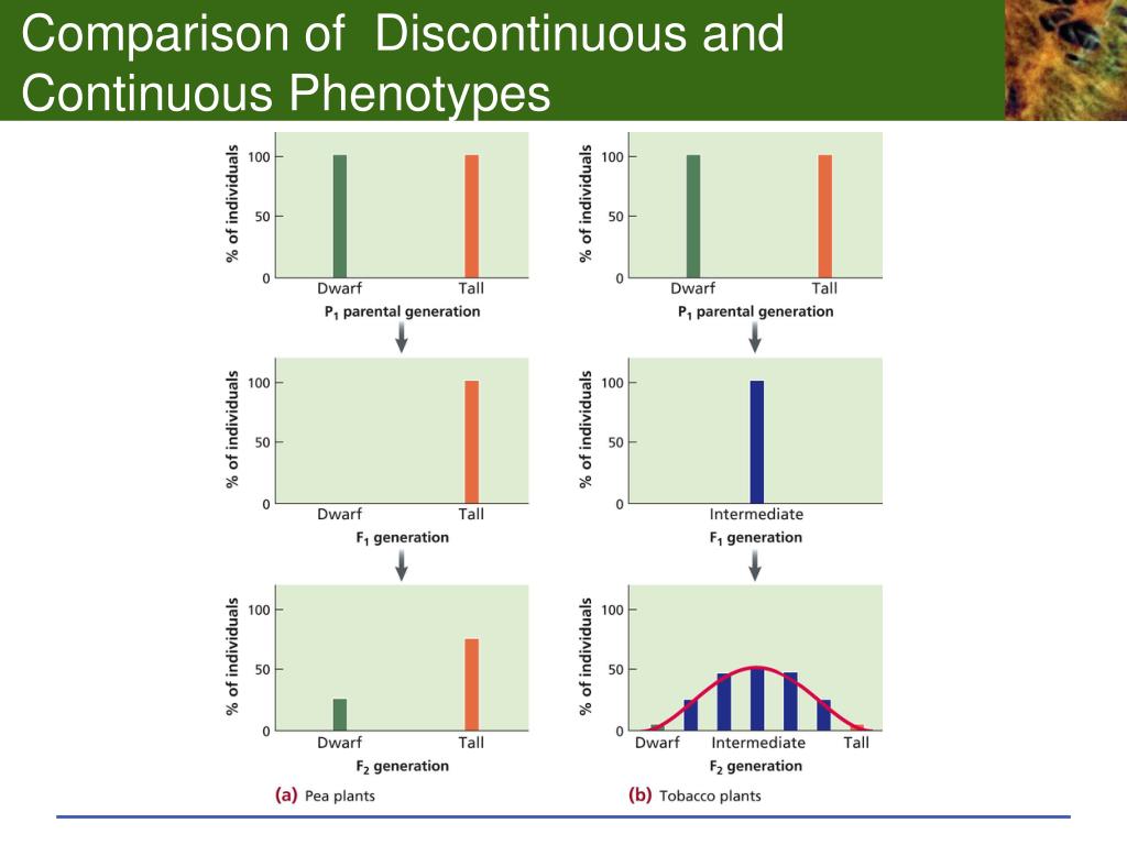 PPT - The Inheritance of Complex Traits PowerPoint Presentation, free ... PPT - The Inheritance of Complex Traits PowerPoint Presentation, free ...