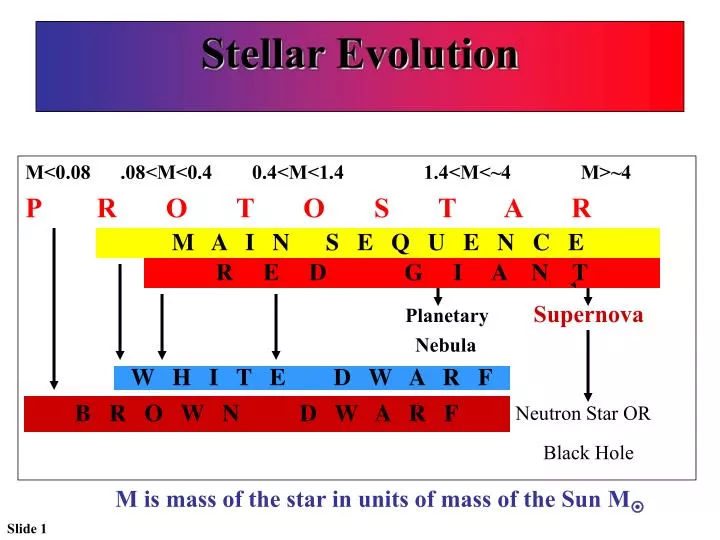 PPT - Stellar Evolution PowerPoint Presentation, free download - ID:4218455