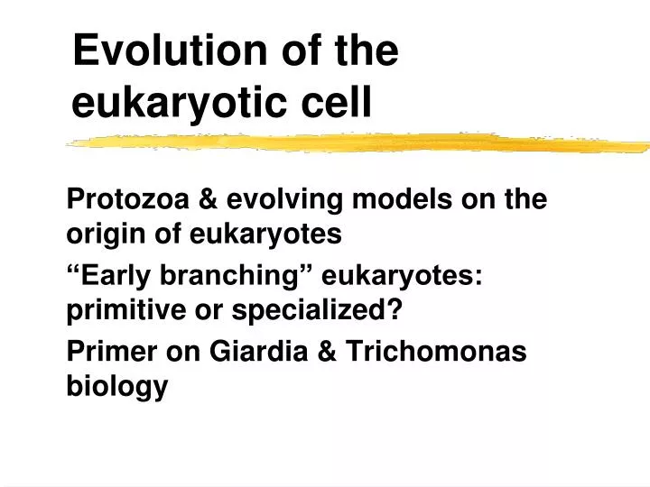 PPT - Evolution of the eukaryotic cell PowerPoint Presentation, free ...